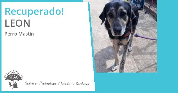 SPAC - Ficha de LEON