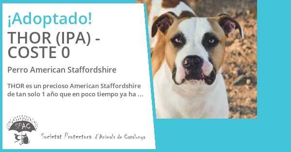 SPAC - Adopción de THOR (IPA) - COSTE 0