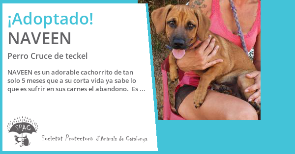 SPAC - Adopción de NAVEEN