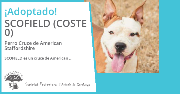 SPAC - Adopción de SCOFIELD (COSTE 0)