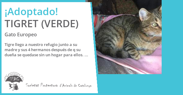 SPAC - Adopción de TIGRET (VERDE)