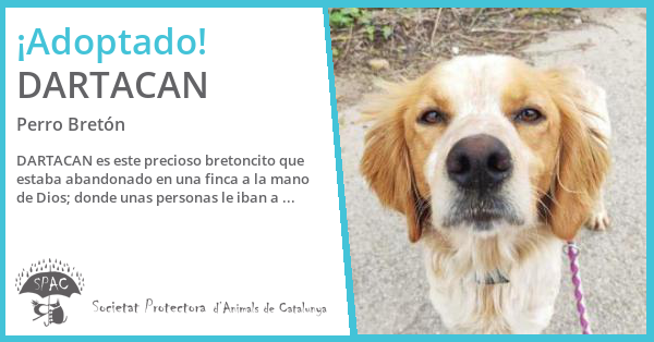 SPAC - Adopción de DARTACAN