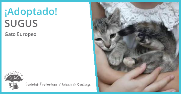 SPAC - Adopción de SUGUS