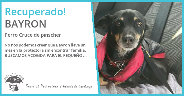 SPAC - Ficha de BAYRON