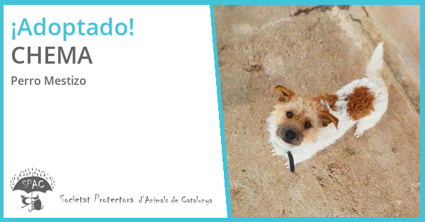 SPAC - Adopción de CHEMA