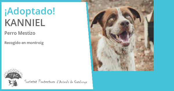 SPAC - Adopción de KANNIEL
