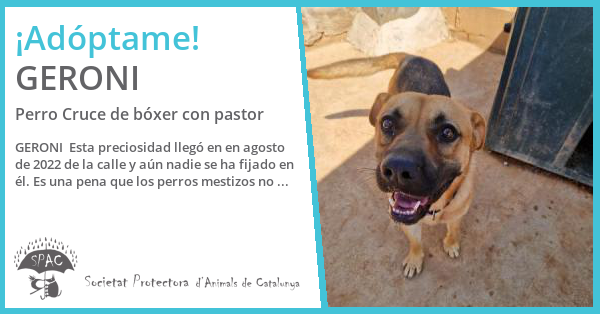 SPAC - Ficha de GERONI