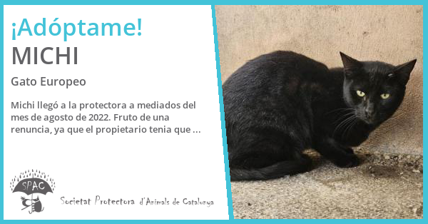 SPAC - Ficha de MICHI