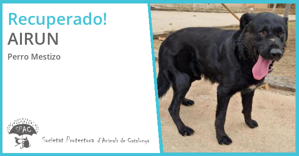 SPAC - Ficha de AIRUN