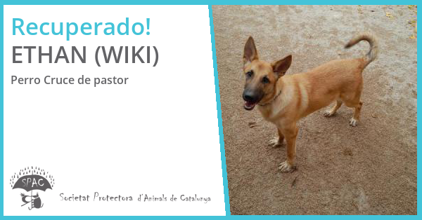 SPAC - Ficha de ETHAN (WIKI)