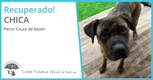 SPAC - Ficha de CHICA