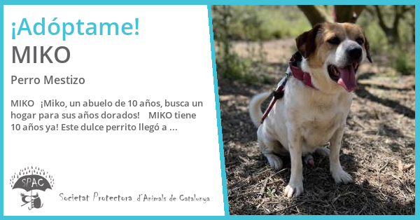 SPAC - Ficha de MIKO