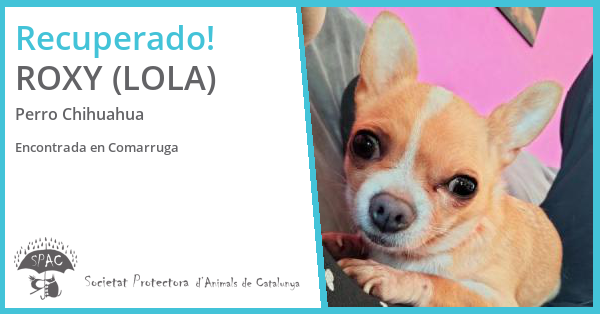 SPAC - Ficha de ROXY (LOLA)