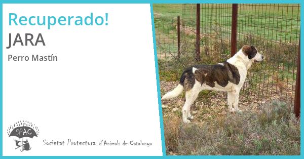 SPAC - Ficha de JARA