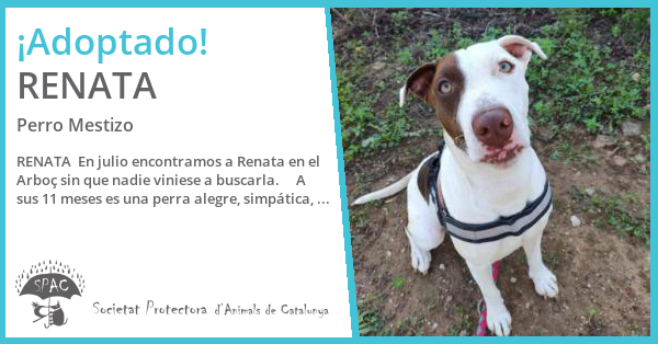 SPAC - Adopción de RENATA