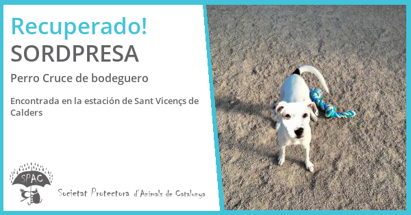 SPAC - Ficha de SORDPRESA