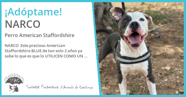 SPAC - Ficha de NARCO