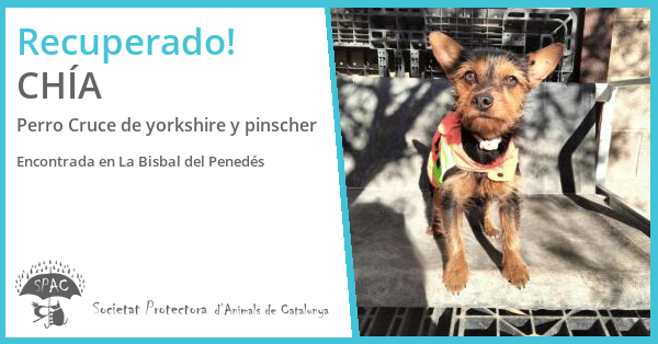 SPAC - Ficha de CHÍA