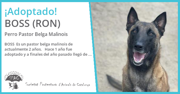 SPAC - Adopción de BOSS (RON)