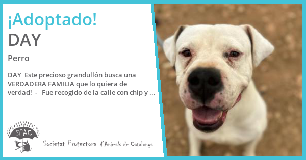 SPAC - Adopción de DAY