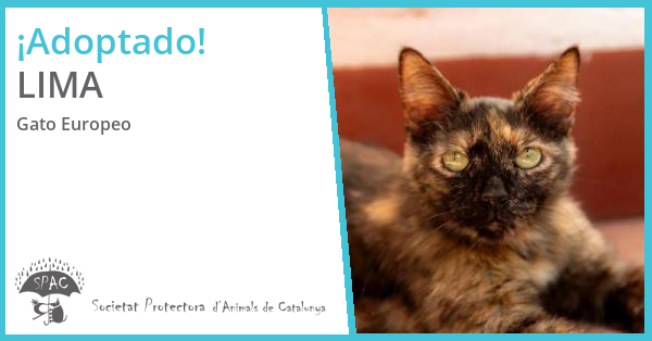 SPAC - Ficha de LIMA