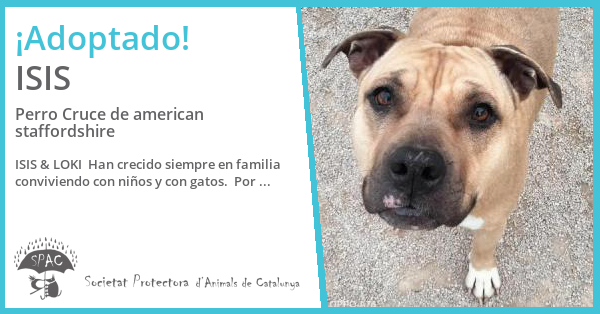 SPAC - Ficha de ISIS