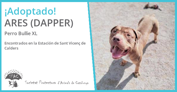 SPAC - Adopción de ARES (DAPPER)