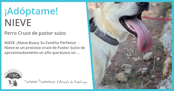 SPAC - Ficha de NIEVE