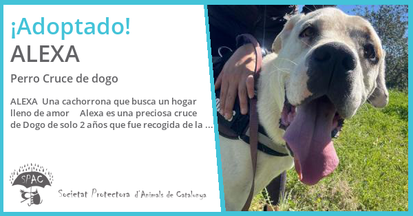 SPAC - Ficha de ALEXA