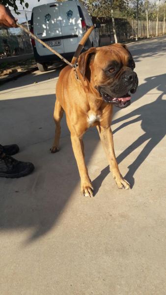 SPAC - Ficha de URKO