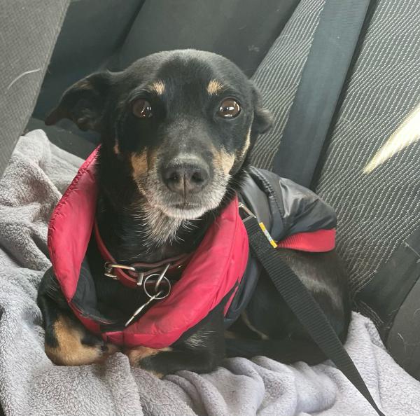 SPAC - Ficha de BAYRON